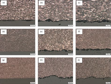 Surface Cross Section Micrographs Of Specimens As Received Without Download Scientific Diagram