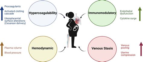 Venous Thromboembolism During Pregnancy And Postpartum Period