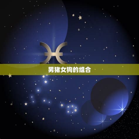 男猪女狗能过一辈子吗 爱情与命运的交织