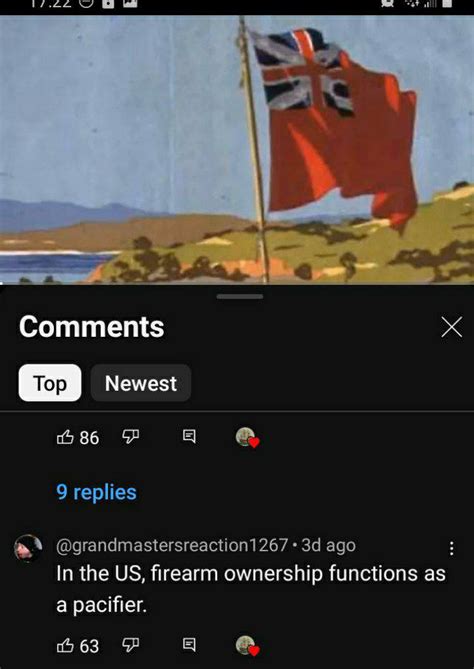 Does Having Access To Firearms Politically Pacify Our People Radical Dose