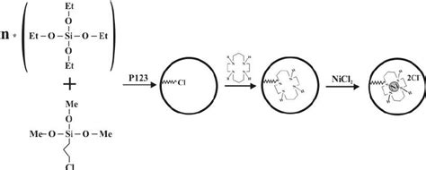 Synthesis Of The Functionalized Mesoporous Silica By Using The Procedure B Download Scientific