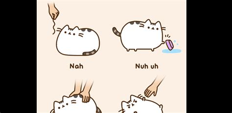 Php Resize Image Canvas With Codeigniter Image Library How To