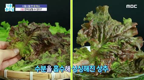 시들시들 쌈 채소를 2분 만에 싱싱하게