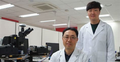 Dgist 나노구조체 이용한 新 이미지 신호 처리 기법 개발