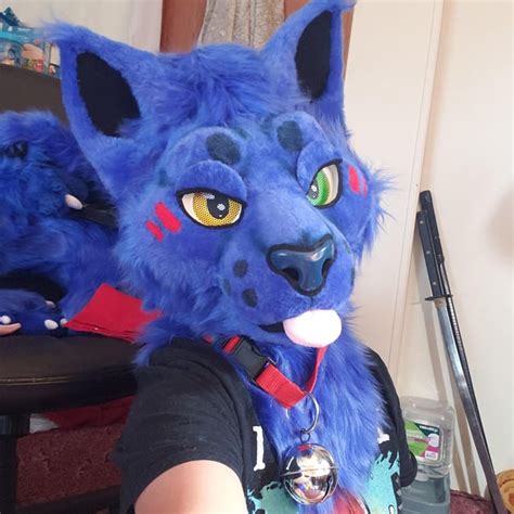 Tried On The New Bell Collar Rfurry