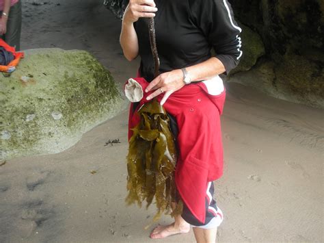 Dscn2109 Danielle Gehringer Flickr