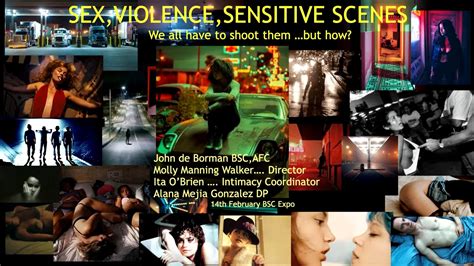 Bsc Panel Sex Violence And Sensitive Scenes How To Approach Them