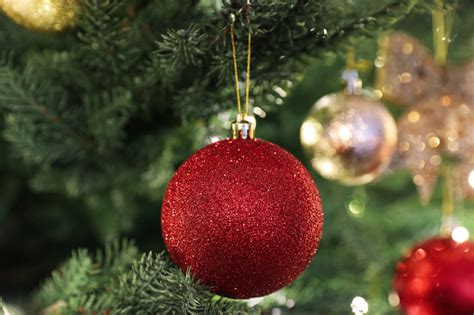 붉은 값싼 물건으로 아름답게 장식 된 크리스마스 트리 근접 촬영 0명에 대한 스톡 사진 및 기타 이미지 0명 12월 가문비나무 Istock