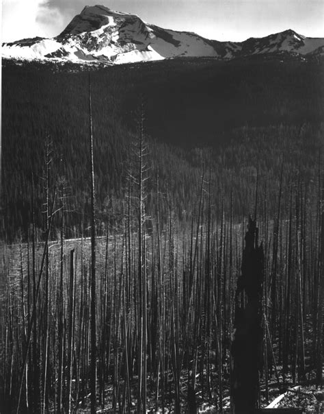 Amazing Landscapes Stunning Ansel Adams Photographs In All Their Glory