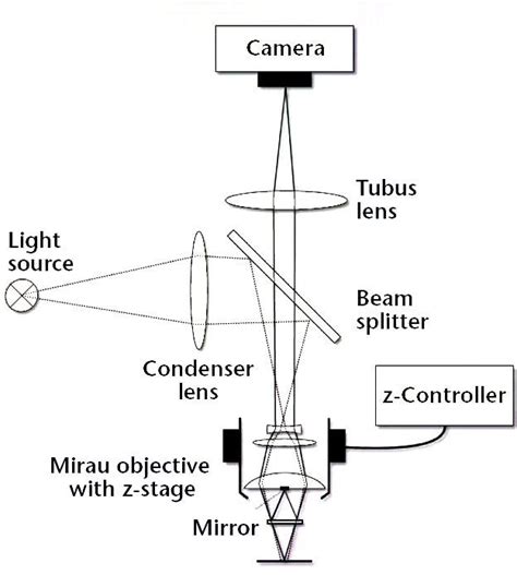 1 Schematic Layout Of White Light Interferometer Microscope 135 Download Scientific Diagram