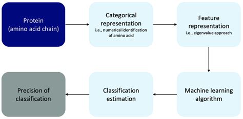Simplified Flowchart Diagram Download Scientific Diagram