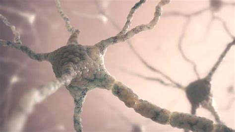 Виявлено ген відповідальний за старіння мозку