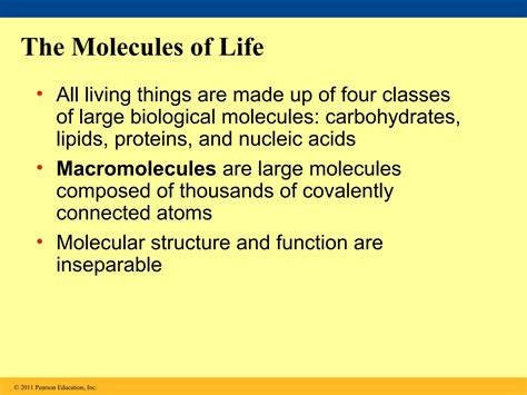 Macromolecules Ppt