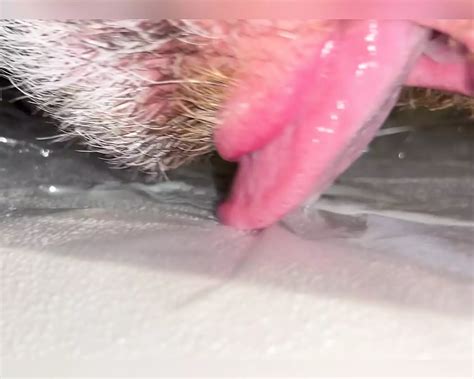 Steve Anal Mange Son Propre Pr Jac Et Une Norme Dose De Sperme D Orgasme Ruin Et Il L Che Le