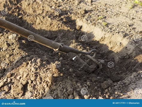 Weeding Grass In Garden By Hoe Summer Day Stock Image Image Of