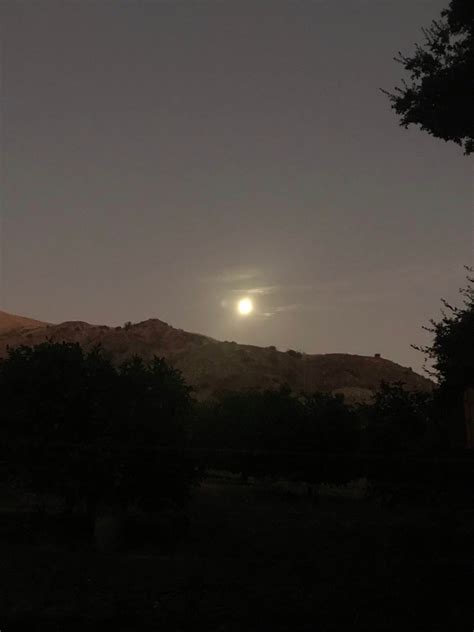 Ventura Ranch Koa Camping Santa Paula California