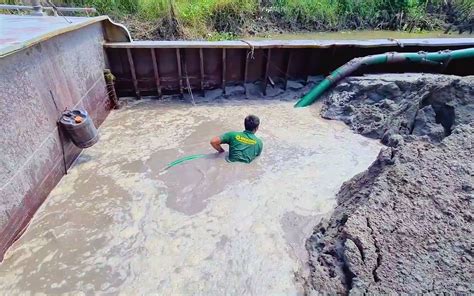 Arforest Forest Of Clock Bilibilib站无水印视频解析——yiuios易柚斯