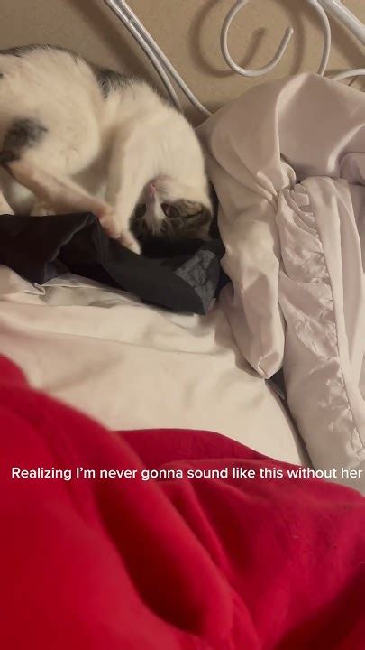 I Miss Sweet Girl Youtube