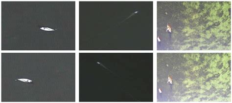 Sample Images With Data Augmentation From Training Datasets Makeml