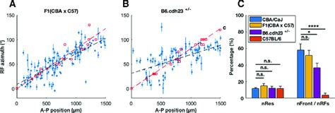 Topographic Organization Of Rfs Of Sc Auditory Responsive Neurons In Download Scientific