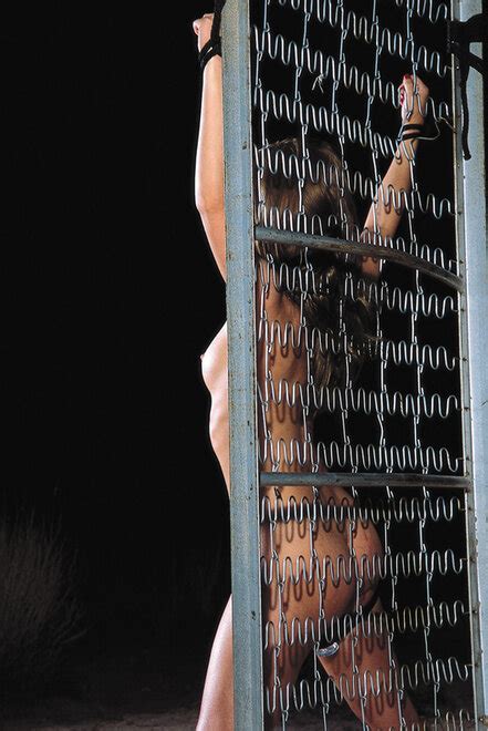 BDSM Imageset Ta On L Porn Pic