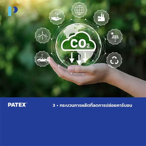 โฟมยางพาราธรรมชาติ วัสดุรักษ์โลก ลดคาร์บอน พร้อมย่อยสลายได้ 100 Patex