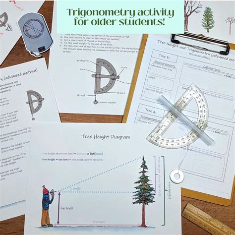 Trees And Trigonometry Calculate Tree Height Using Math Angles Lesson