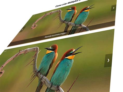 Como Criar Um Slideshow Com Html Css E Js Bons Tutoriais