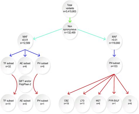Methodological Scheme For Filtering Genomic Variants In Sjs Ten Patients Download Scientific