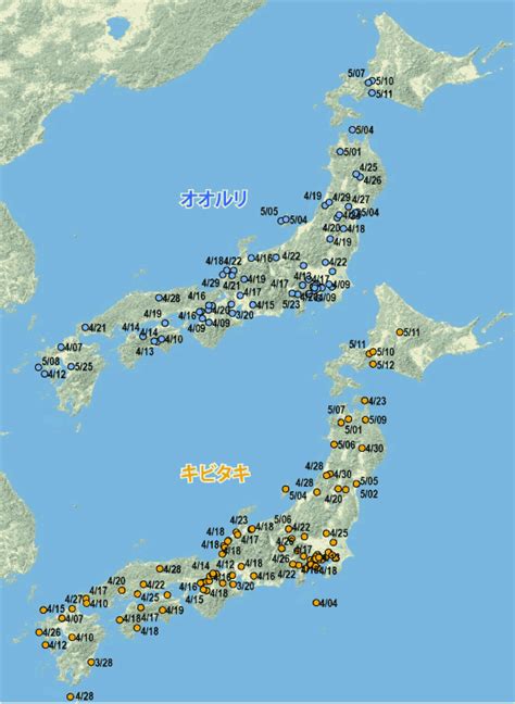 キビタキ初認調査 調査結果速報2013 バードリサーチ
