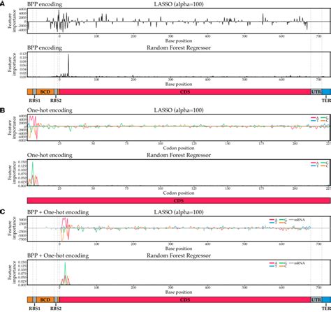 Feature Importances For Various Machine Learning Algorithms And