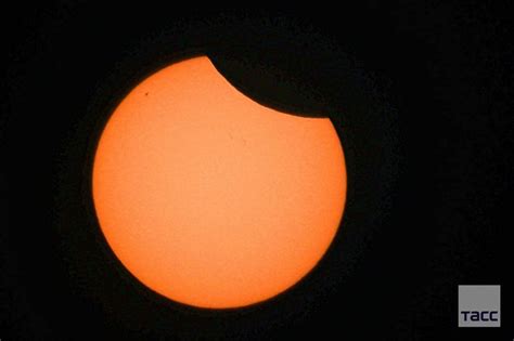 Россияне 29 марта увидели частное затмение Солнца — фото
