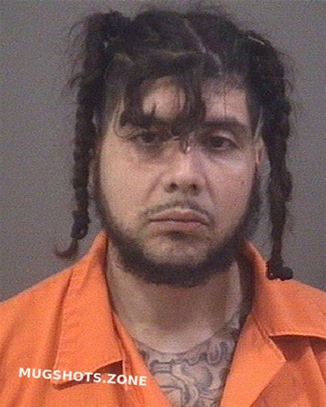 Valadez Daniel 11 24 2024 Harris County Mugshots Zone