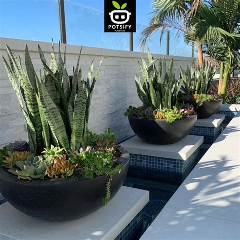 Potsify Planters Potsifyplanters • Instagram Photos And Videos