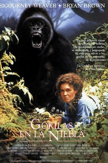 La Misteriosa Muerte De La Mujer Que Vivía Con Gorilas Cazadores