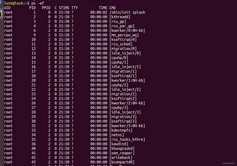 Linux C服务器项目——环境搭建、配置linux重装c的环境 Csdn博客