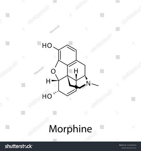 Morphine Molecular Structure Flat Skeletal Chemical Stock Vector Royalty Free 2103940040