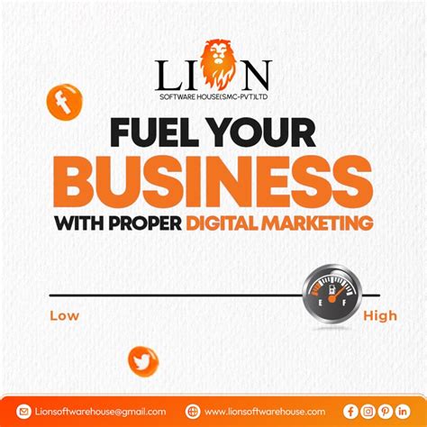 Lion Software House Pvt Ltd On Linkedin Lionsoftwarehouse Softwarehouse Software Business