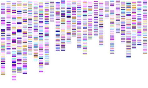 960 Genomic Data Visualization Stock Illustrations Royalty Free