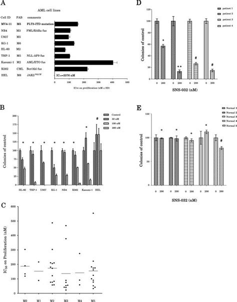 Sns 032 Potently Inhibits Cell Growth In Aml Cell Lines And Primary Aml