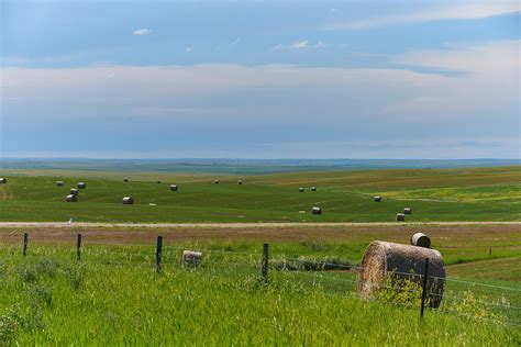 Unl Conservation Biologist To Discuss How Human Choices Shape Great