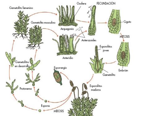 Biología