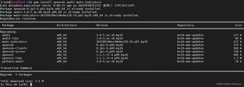 银河麒麟高级服务器操作系统v10sp1 iso镜像定制 kickstart自动化安装 银河麒麟v10镜像iso下载 csdn博客