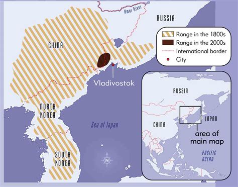 Amur Leopard Habitat Map