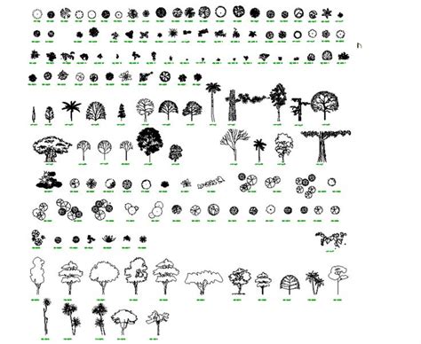 Tree Plan Detail And Dwg File
