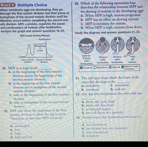 Answered Part 1 Multiple Choice When Vertebrate Eggs Are Developing