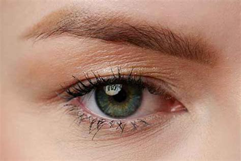 Pilonidal Sinus Treatment In Dubai