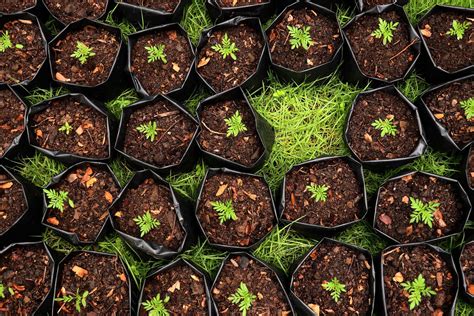 Bulk Soil And Compost Supplier In Menifee And Winchester Ca Socal Mulch