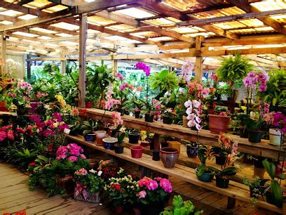 Veranda Plants And Ts 224 Miracle Mile Coral Gables Florida Zaubee