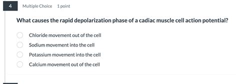 Solved What Causes The Rapid Depolarization Phase Of A